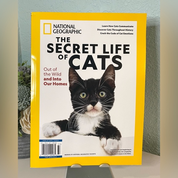 National Geographic | Other | Cat Magazine National Geographic Secret ...